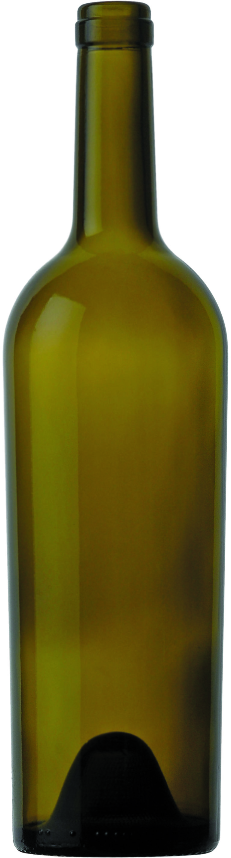 Castillo - M. A. Silva