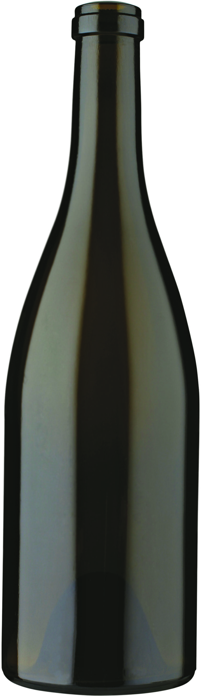 Catalog - M. A. Silva