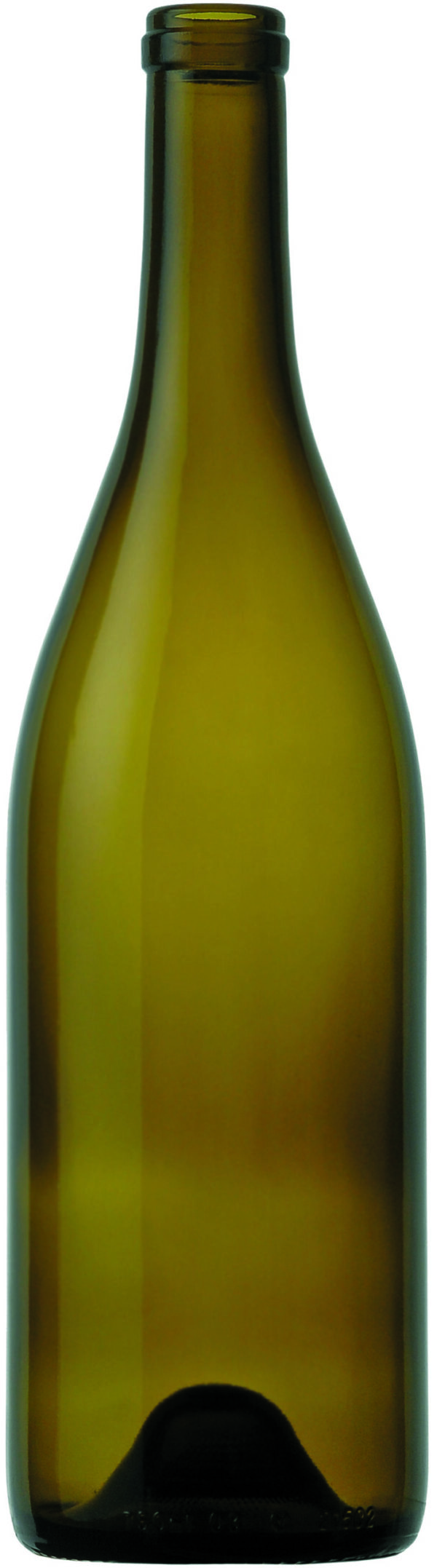 Tacora - M. A. Silva