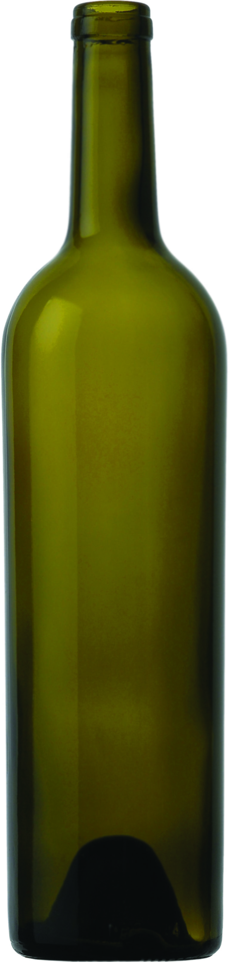 Catalog - M. A. Silva