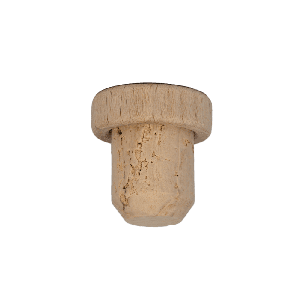 OIV - English - M. A. Silva